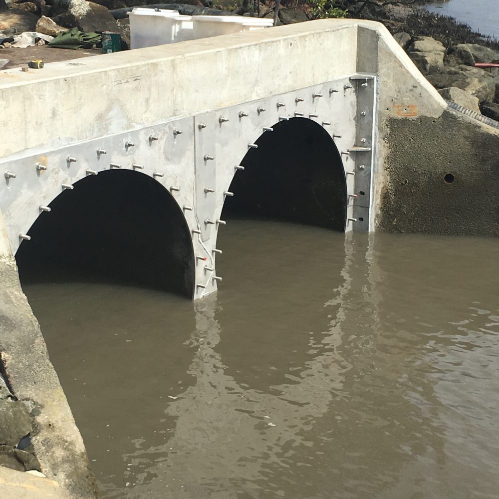 Wastop® Check Valve - Hygrade Water New Zealand